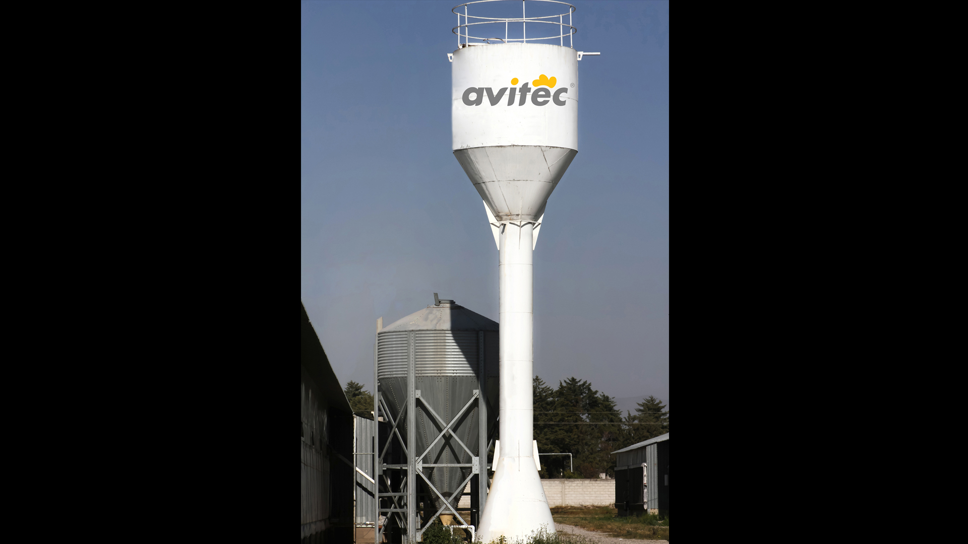Avitec